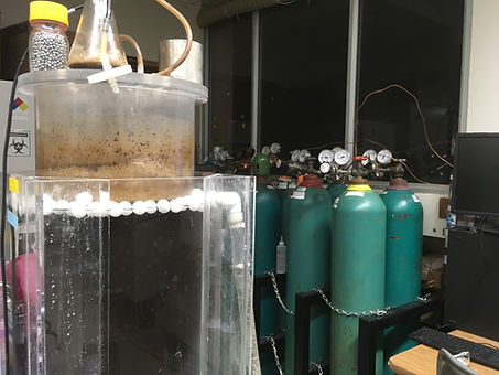 Fungal Fermentation | Samir Khanal Lab