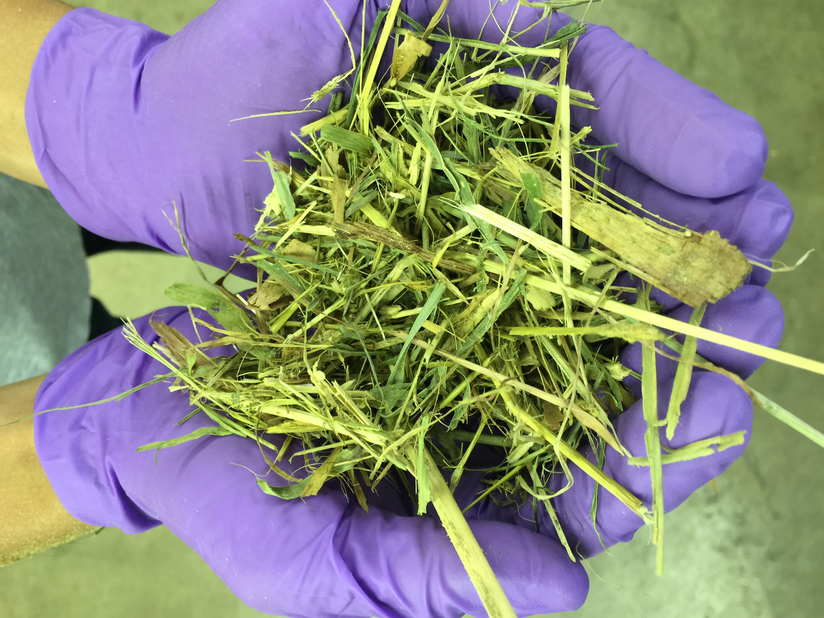 Anaerobic Digestion | Samir Khanal Lab