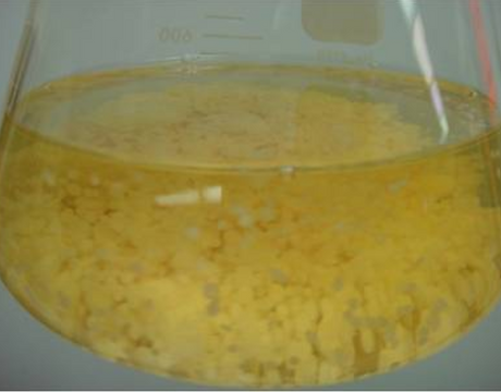 Fungal Fermentation | Environment and Bioenergy Research Group