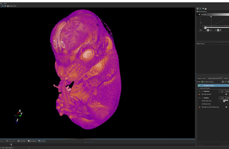 Aivia - AI. Visualization. Image Analysis | Aivia