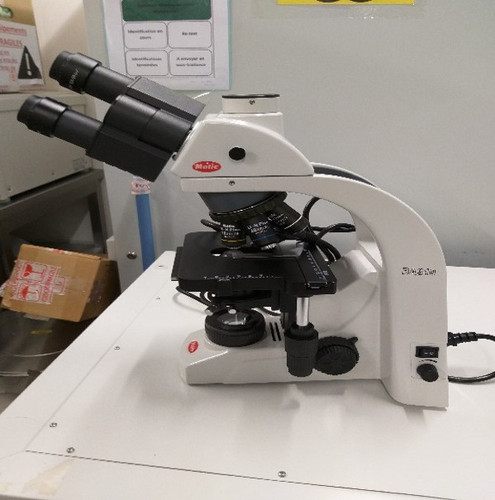 BT22 Microscope | Euramac