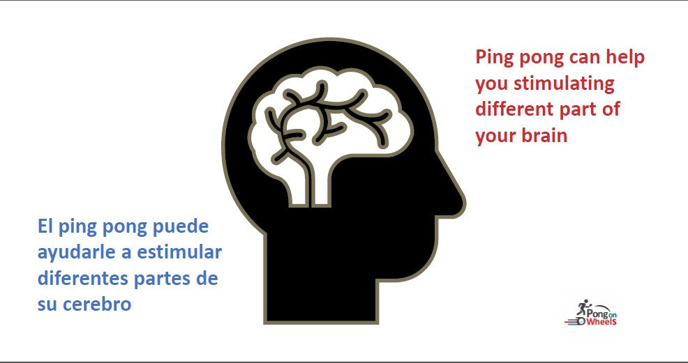 Ping pong stimulates different parts of the brain