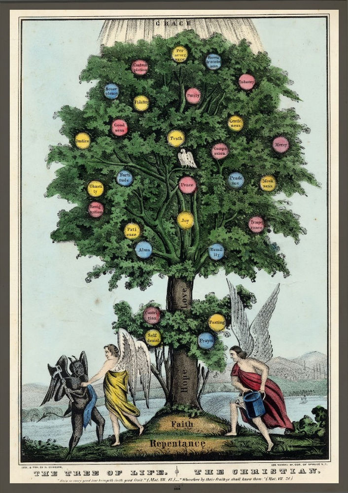 What is the Tree of Life