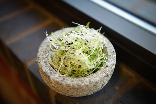 Gabriel Lewis | Official Site