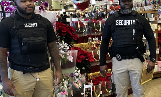 Highly-Trained Tier 2 Security Officers | Triton Global Services