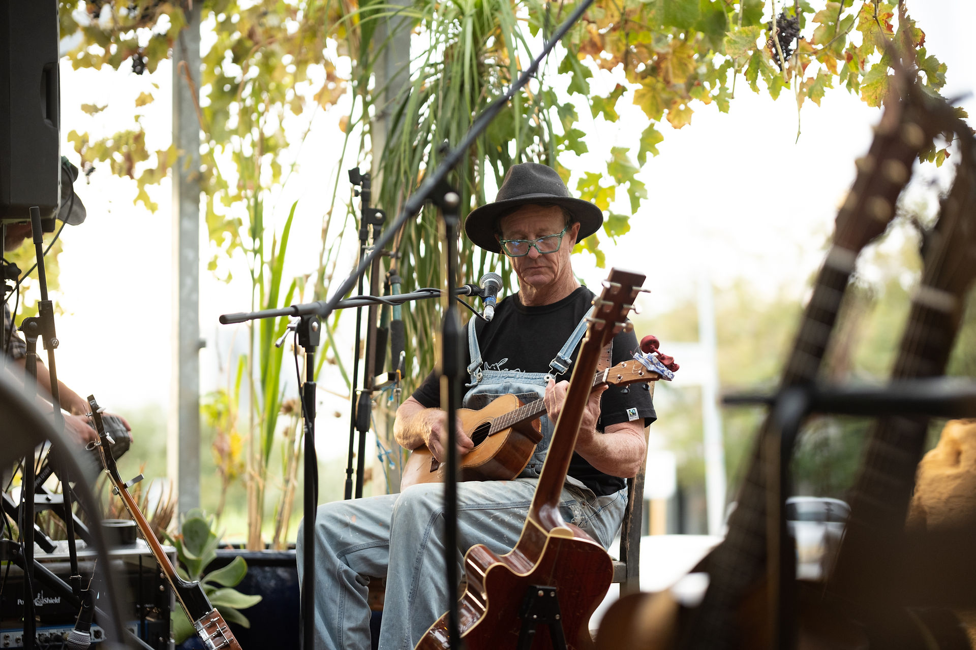 Tim Darby Creative | Folk music | Fremantle WA, Australia