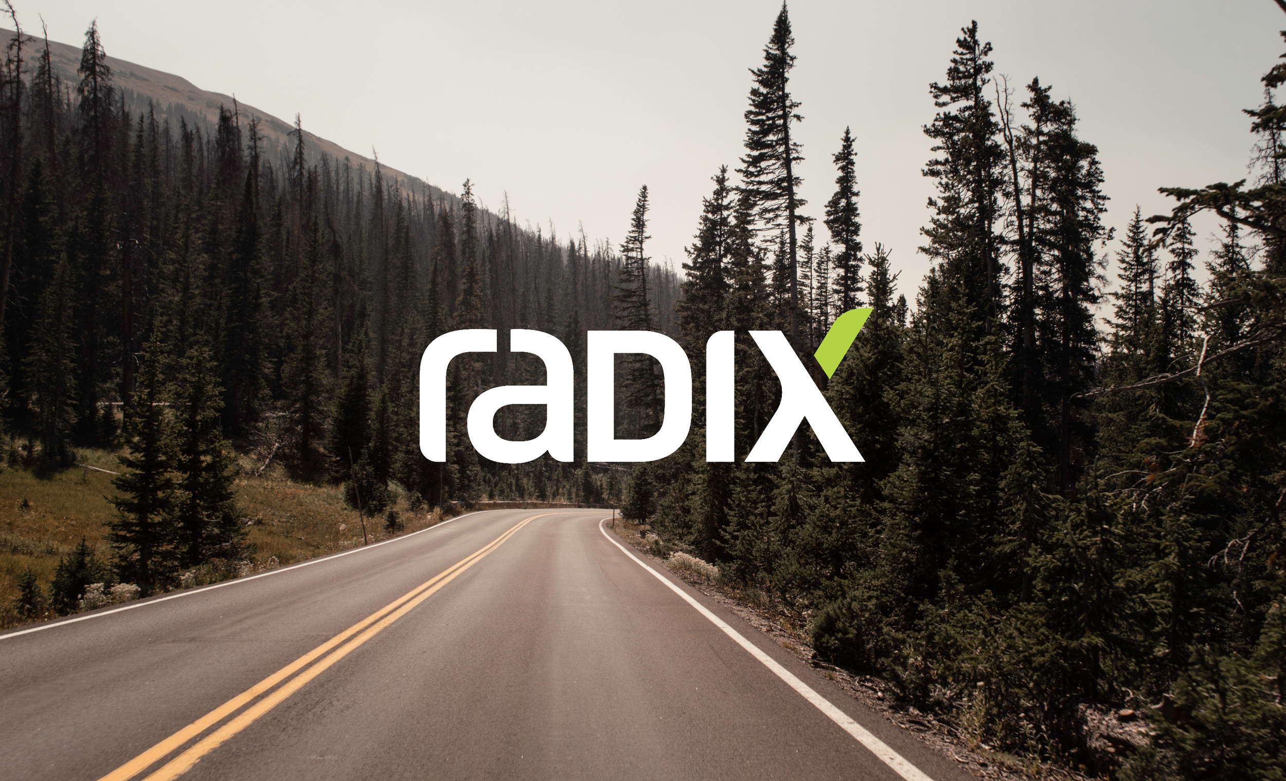 Operational Excellence for Asset Intensive Industries | Radix North America