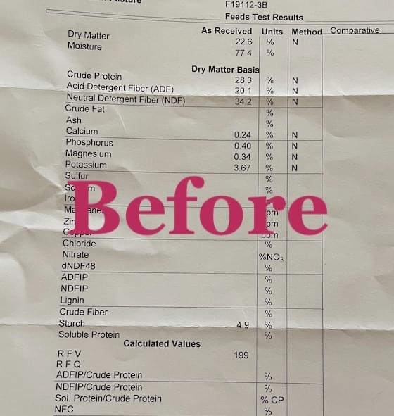 The Rate of Weight Loss: Wilma's Weight Loss Journey Part 4