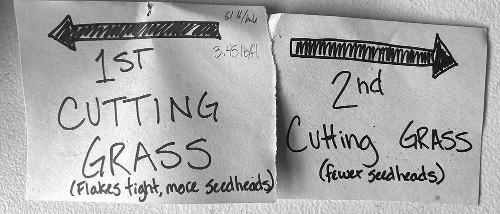 First VS Second (or Third) Cutting & Which to Buy