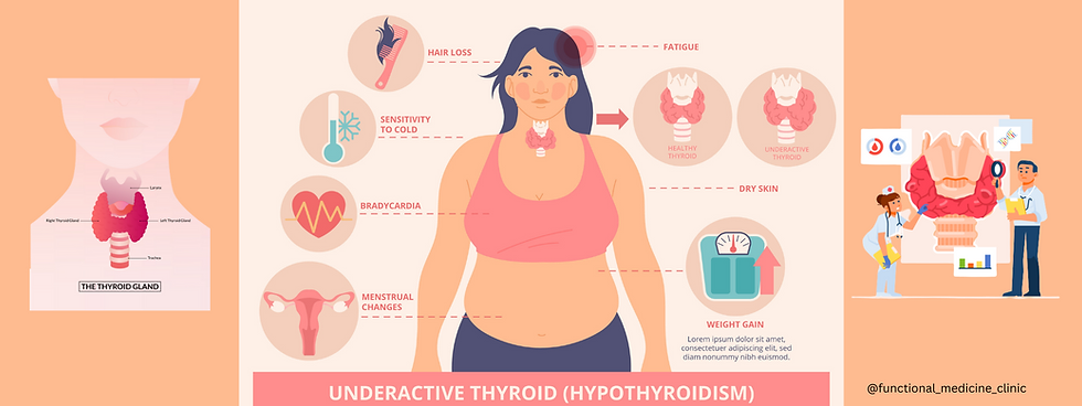 From a Sluggish to a Sensational Journey of Hypothyroidism Reversal