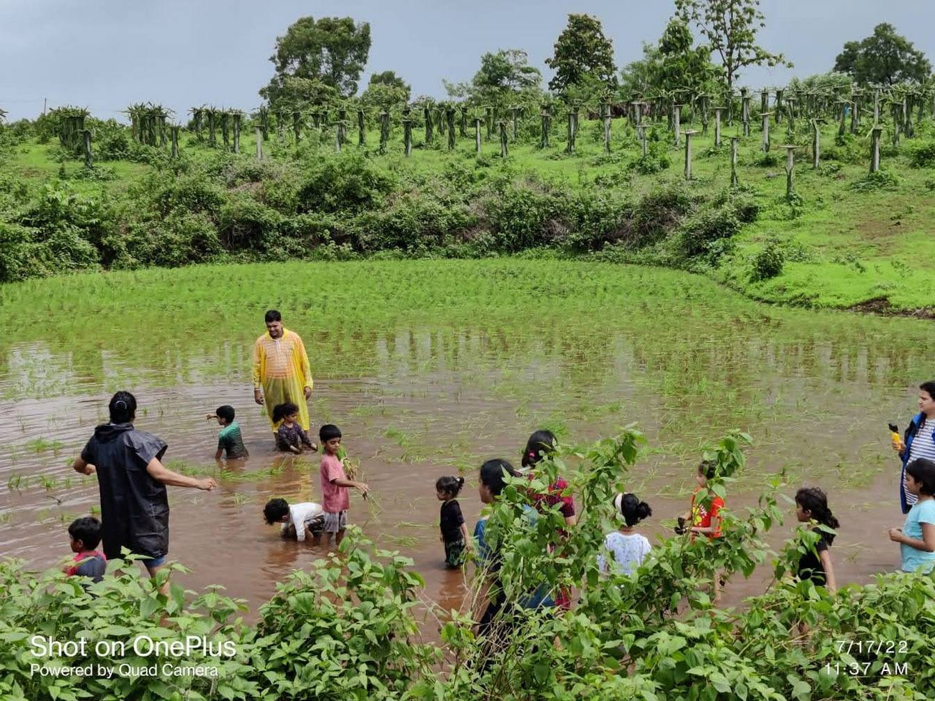 Rice Plantation & Organic Farm Tour | The Farm Retreat