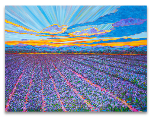 Lavender Sunset 30x40 SOLD | Lily Payne Art
