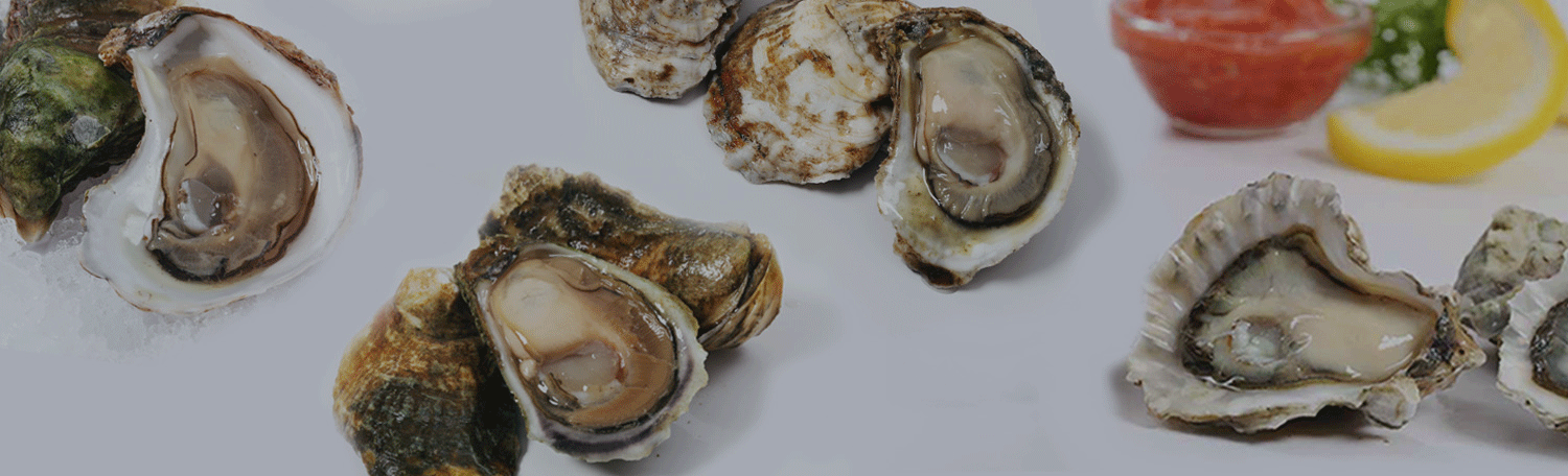 Home | Mother Shuckers