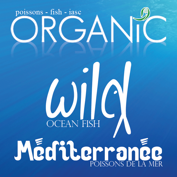 Poissonnerie Shamrock