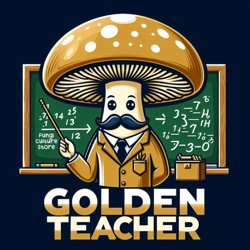 Golden Teacher (GT) | Fungi Culture Store