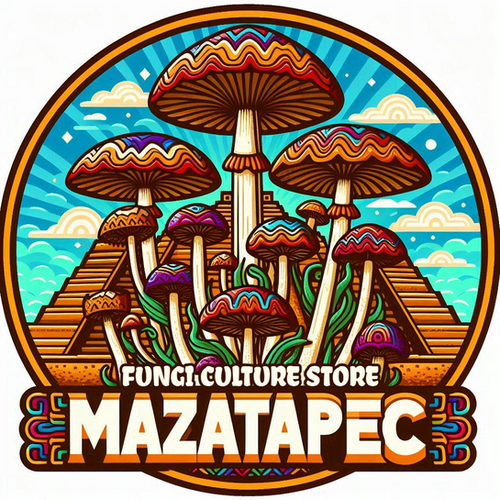 Mazatapec | Fungi Culture Store
