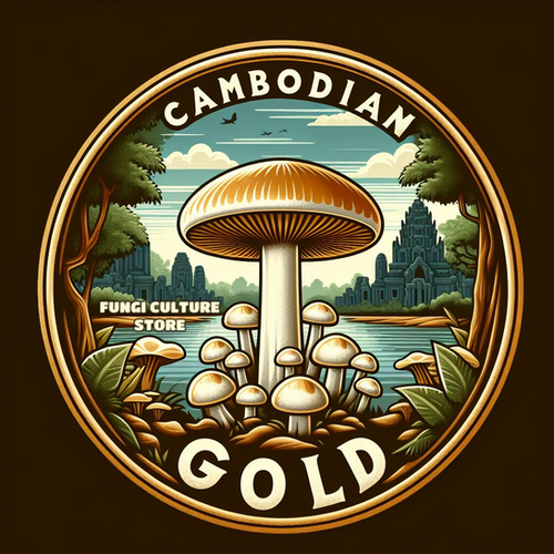Cambodian Gold | Fungi Culture Store