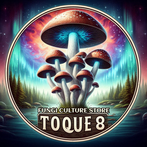 Toque 8 | Fungi Culture Store