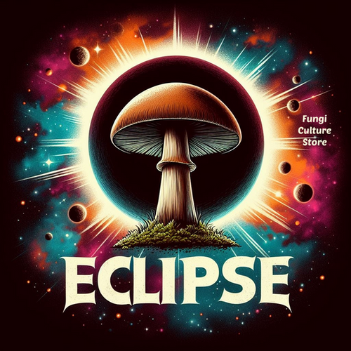 Eclipse Sticker Pack Fungi Culture Store