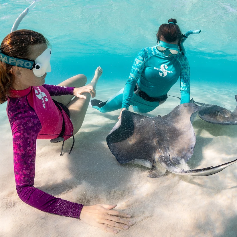 SCUBAPRO GHOST DIVE MASK | Blackflagdivecenter