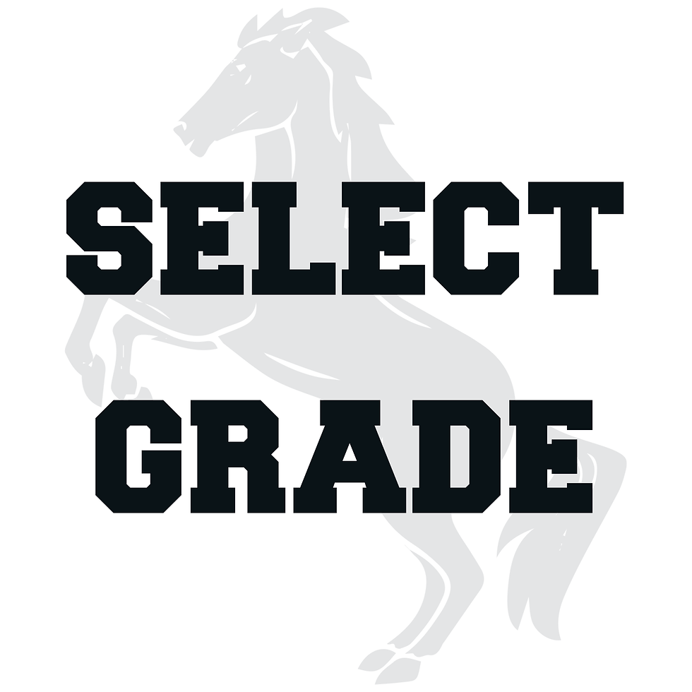 SELECT GRADE | Paige's Lettering