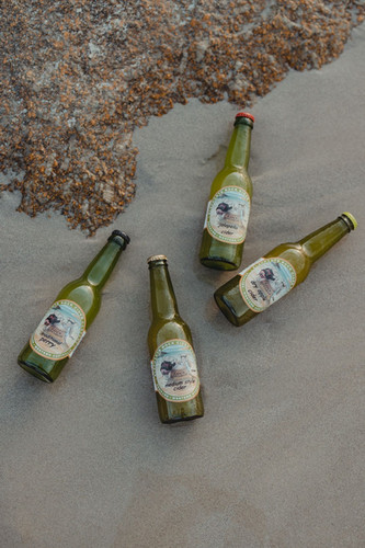 4 pack cider | mysite-1