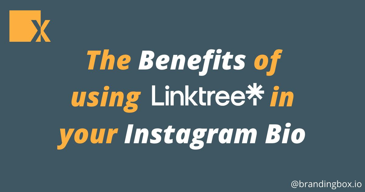 The Benefits of using Linktree in your Instagram Bio