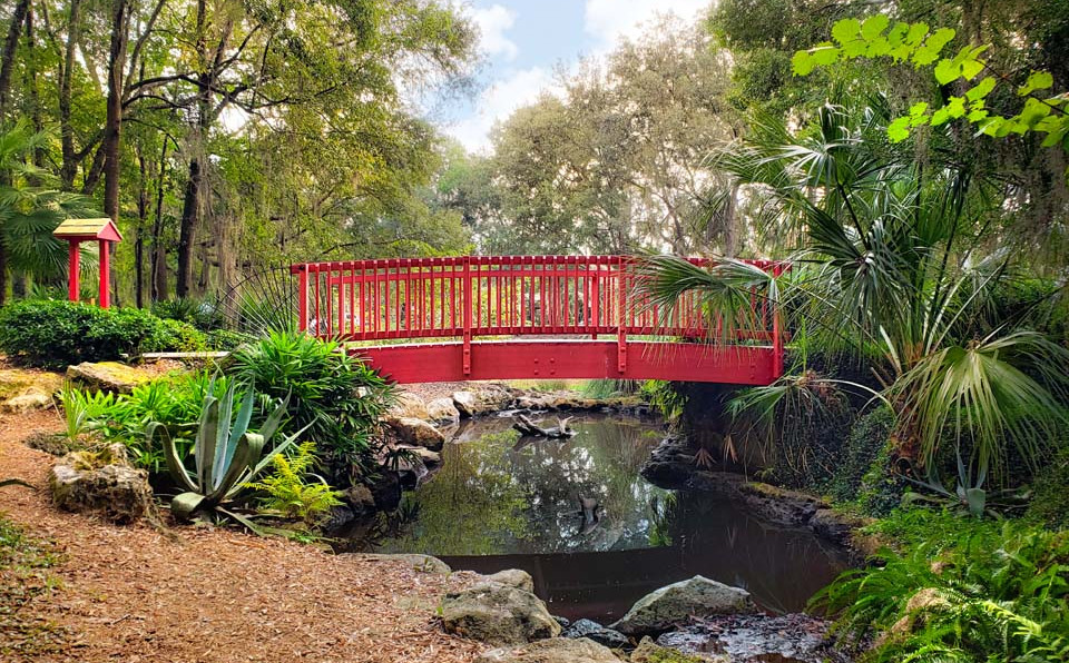 COMMUNITY | Town of Tioga