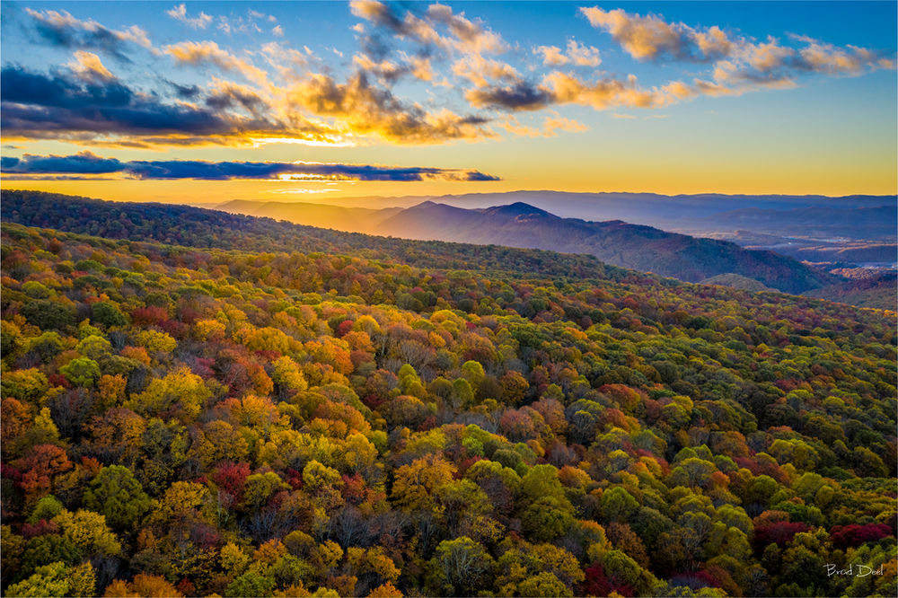 An Update From The Heart of Appalachia