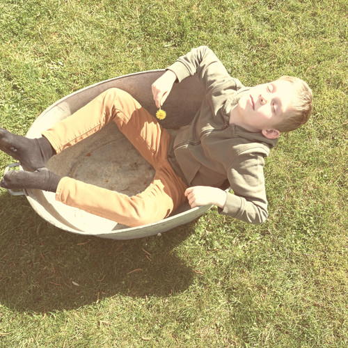 Grote zinken teil | 'T Muizennest