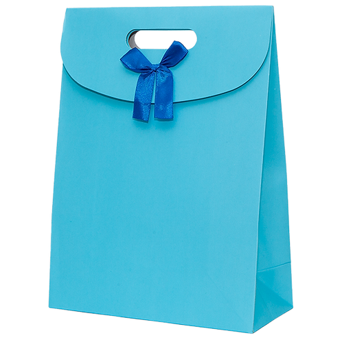 Premium Gift Bag, Blue (Big) | packandsendnew