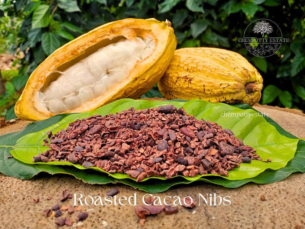 Roasted Cacao Nibs | Chempotty