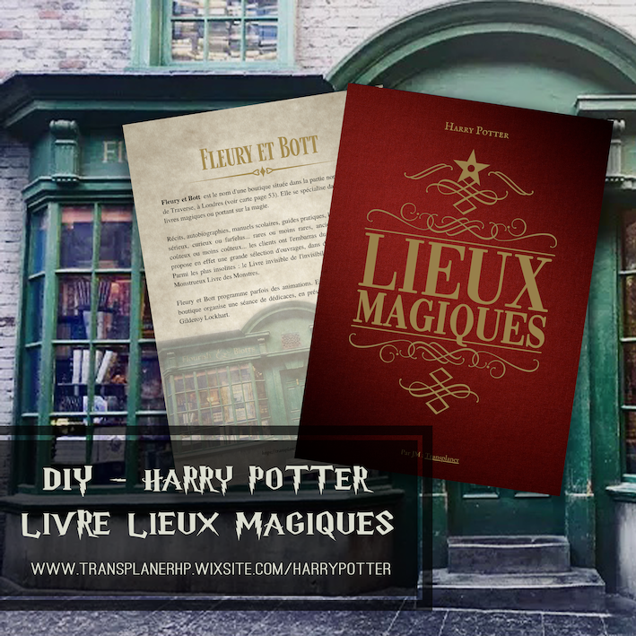 Transplaner | Harry Potter DIY Honeydukes, Boutique Weasley, Objets...