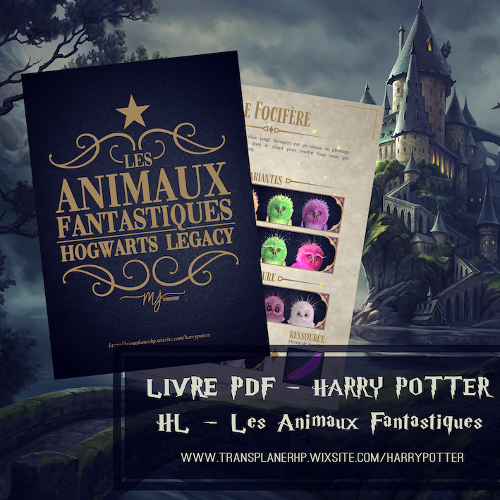 Transplaner | Harry Potter DIY Honeydukes, Boutique Weasley, Objets...