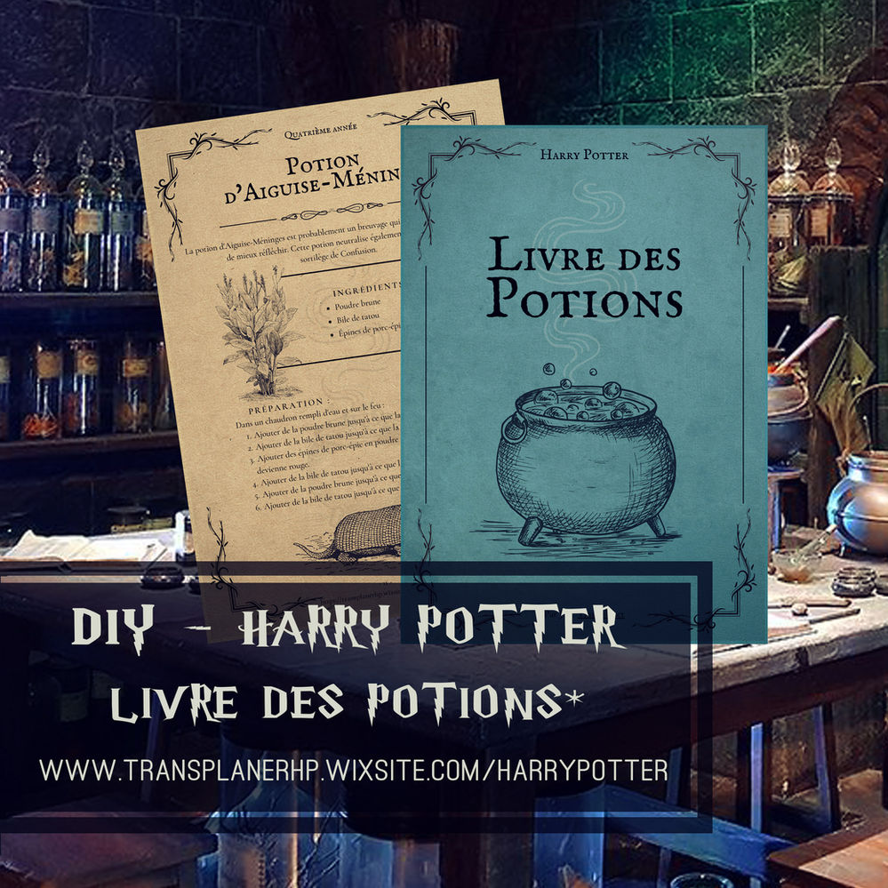 Livre des Potions