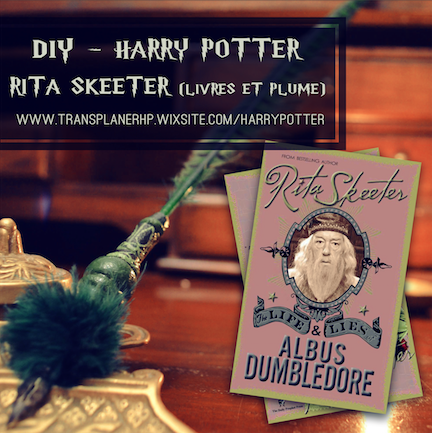 Transplaner | Harry Potter DIY Honeydukes, Boutique Weasley, Objets...