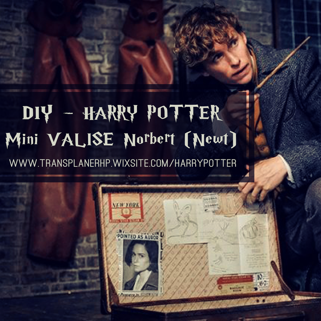Transplaner | Harry Potter DIY Honeydukes, Boutique Weasley, Objets...