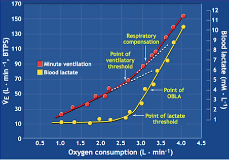 Lactate Threshold Testing | Edge Performance Sci