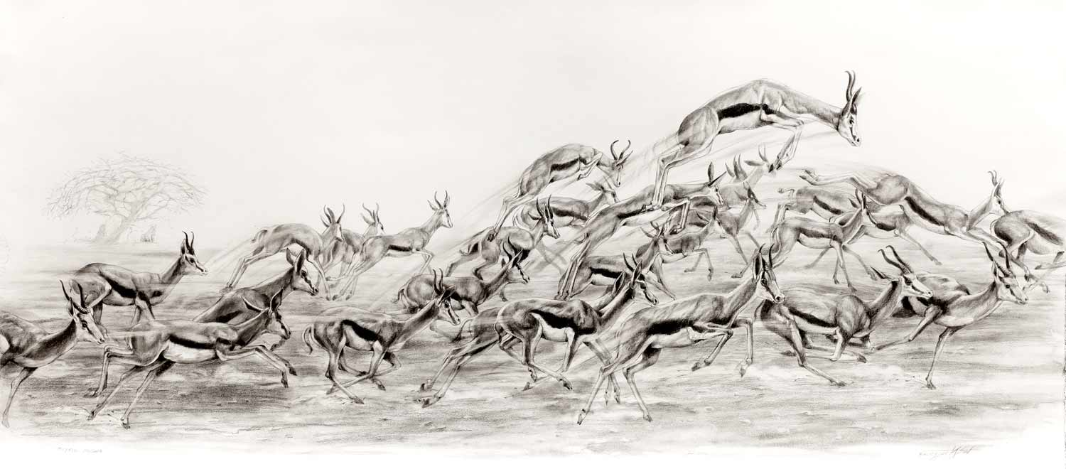 Wildlife | Bronze Sculpture | Cape Town | Barry Jackson Artist Sculptor ...