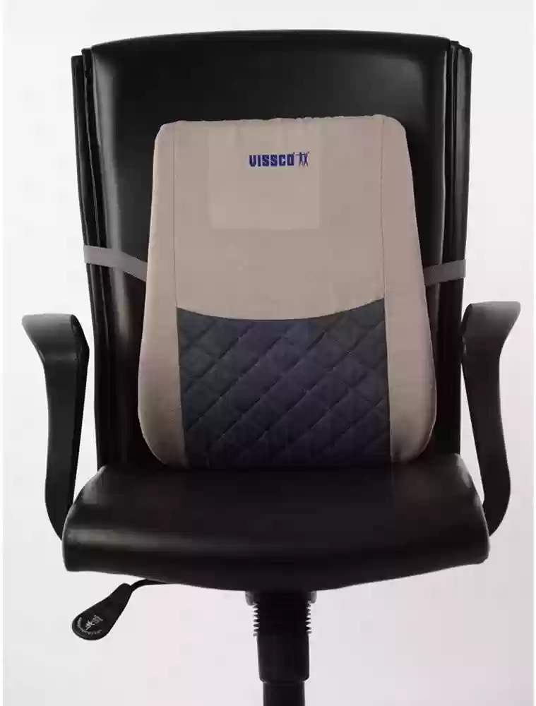 'Vissco Smart Orthopedic Back Rest for Postural Support'