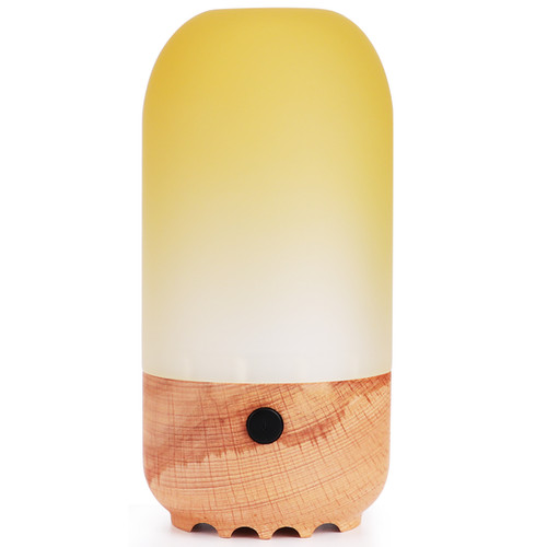 Time Capsule Aroma Diffuser | Bloomair