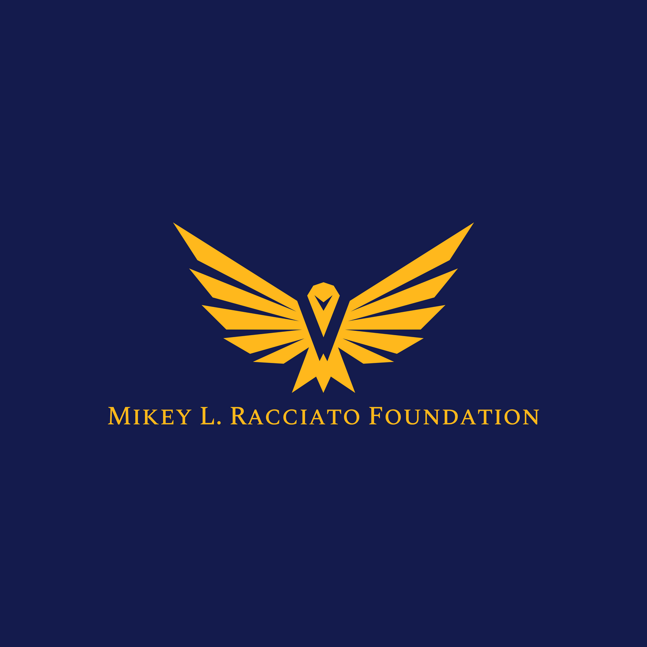 Projects & Events | MLR Foundation