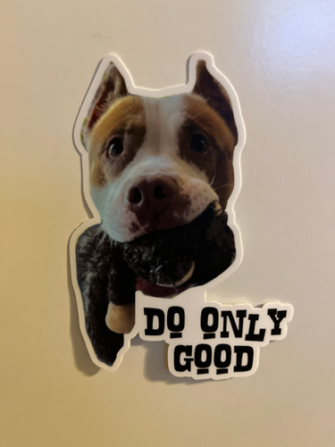KJ Sticker | DOG Animal Rescue