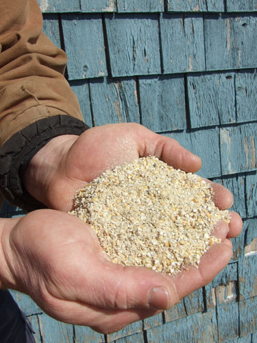 Organic Layer Mash (aka chicken feed) | fgah