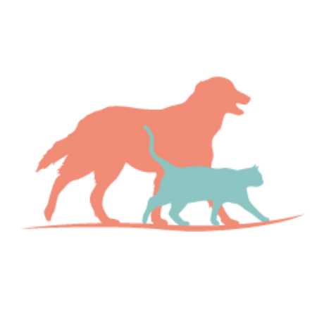 About | PAWsitive Movement Small Animal Rehabilitation | United States