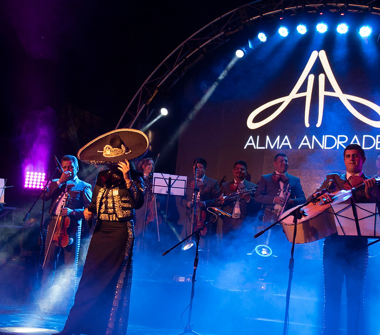 Alma Andrade I Sitio Oficial