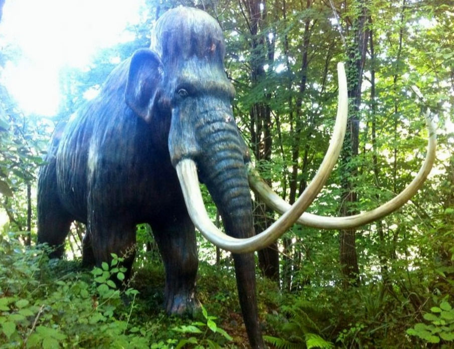 KARPIN FAUNA: un refugio de animales en el Valle de Karrantza