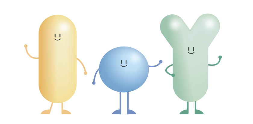Understanding the Distinct Worlds of Coccus, Lactobacillus, and ...