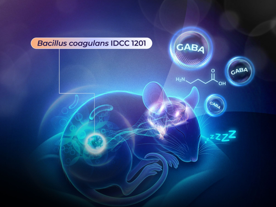 ILDONG Bioscience Announces Research Findings on 'Sleep-Promoting ...