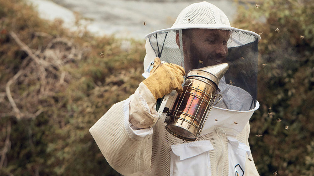 The Syrian beekeeper using his job to help bees and refugees